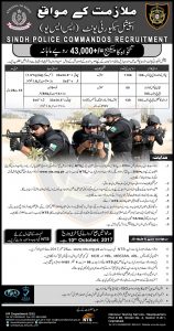 SSU Sindh Police Special Security Unit Jobs 2023 NTS Form Commando ...